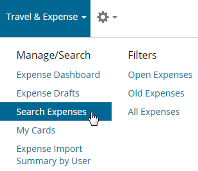 Search Expenses – Expense Track Help